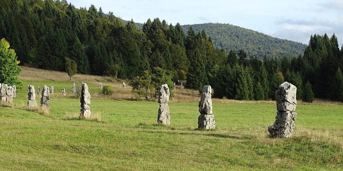 “Giovani senza parole”: i partigiani si raccontano - DINAMOpress