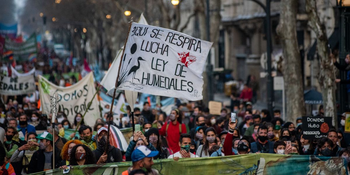 Sembra un capibara ma è lotta di classe. Rivoluzione "carpincha" in ...