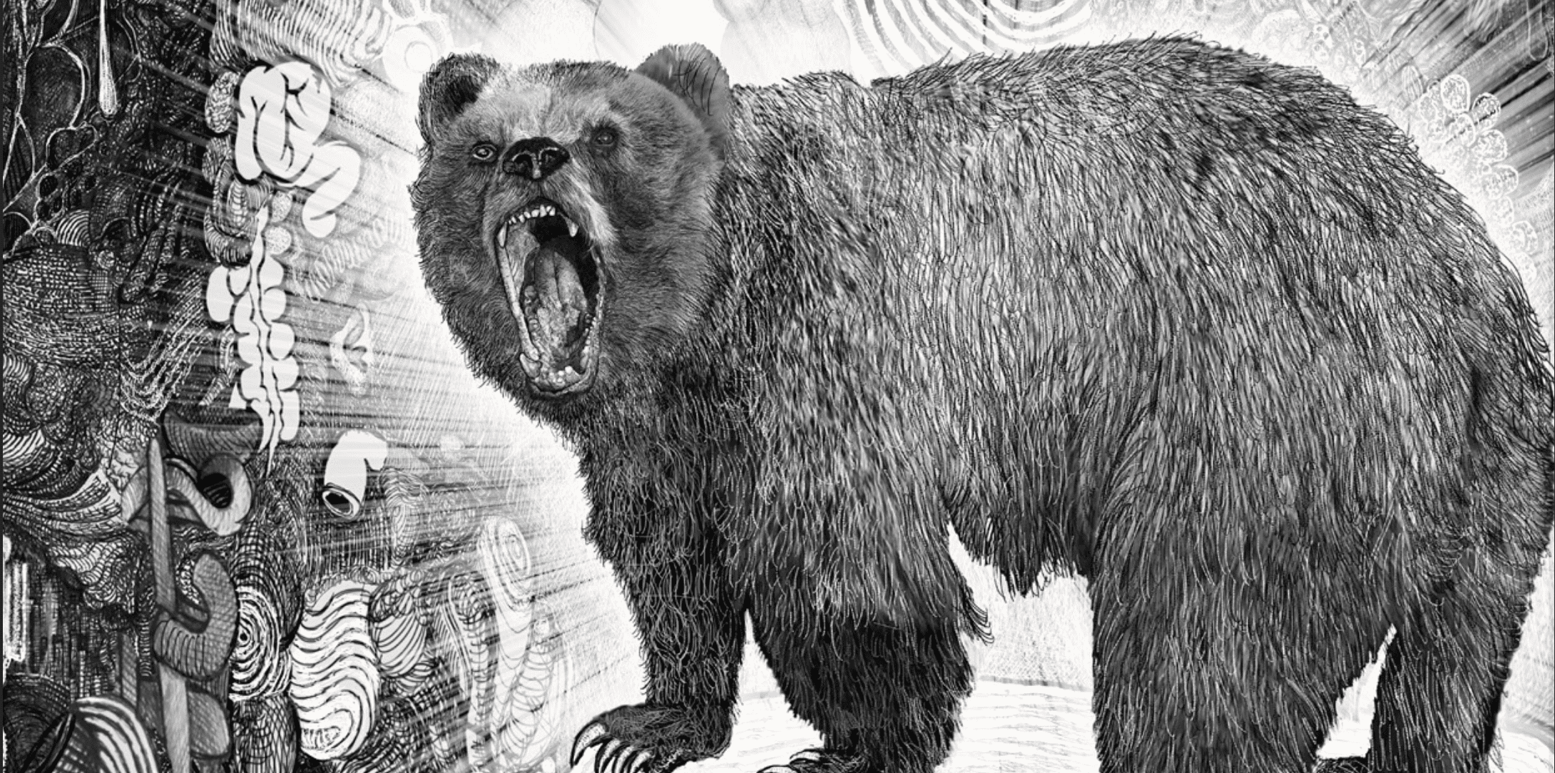 L’orso che ci ha insegnato come essere viventi - DINAMOpress